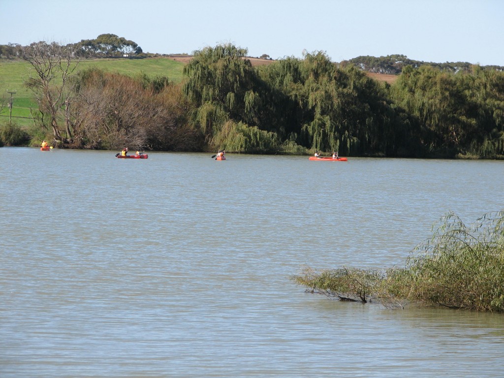 Canoes on the River Murray - Trevor's Travels