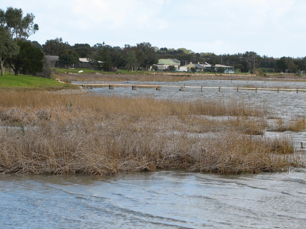 Lake Albert, Meningie, South Australia - Trevor's Travels