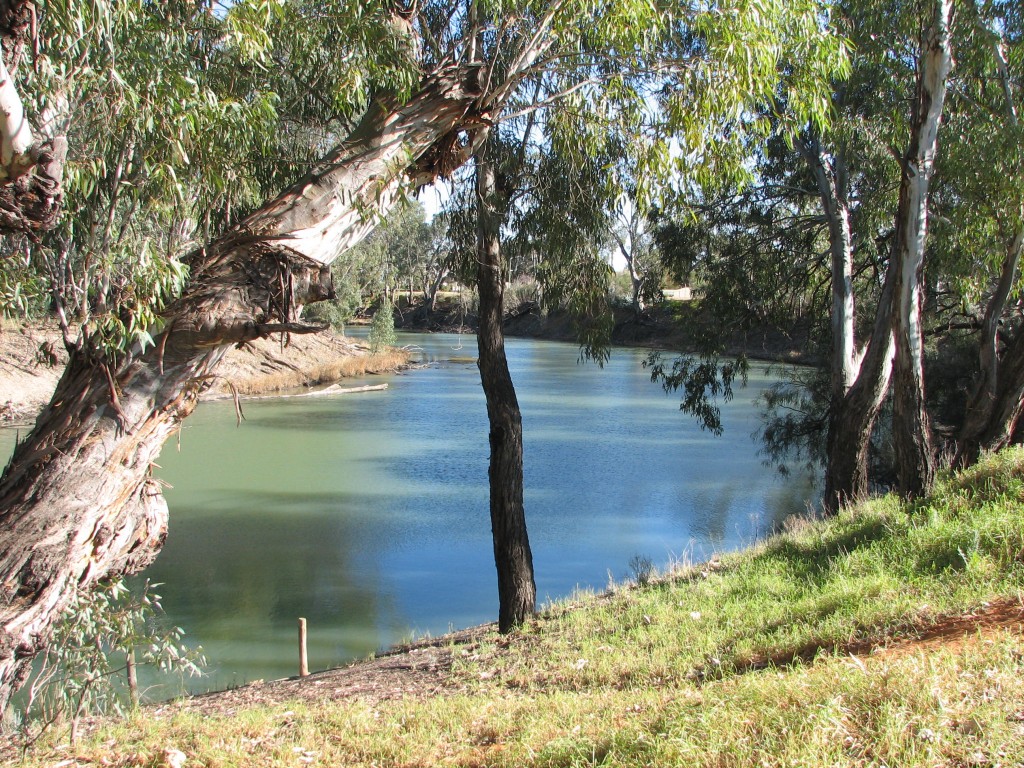 Murrumbidgee River, Balranald, NSW - Trevor's Travels