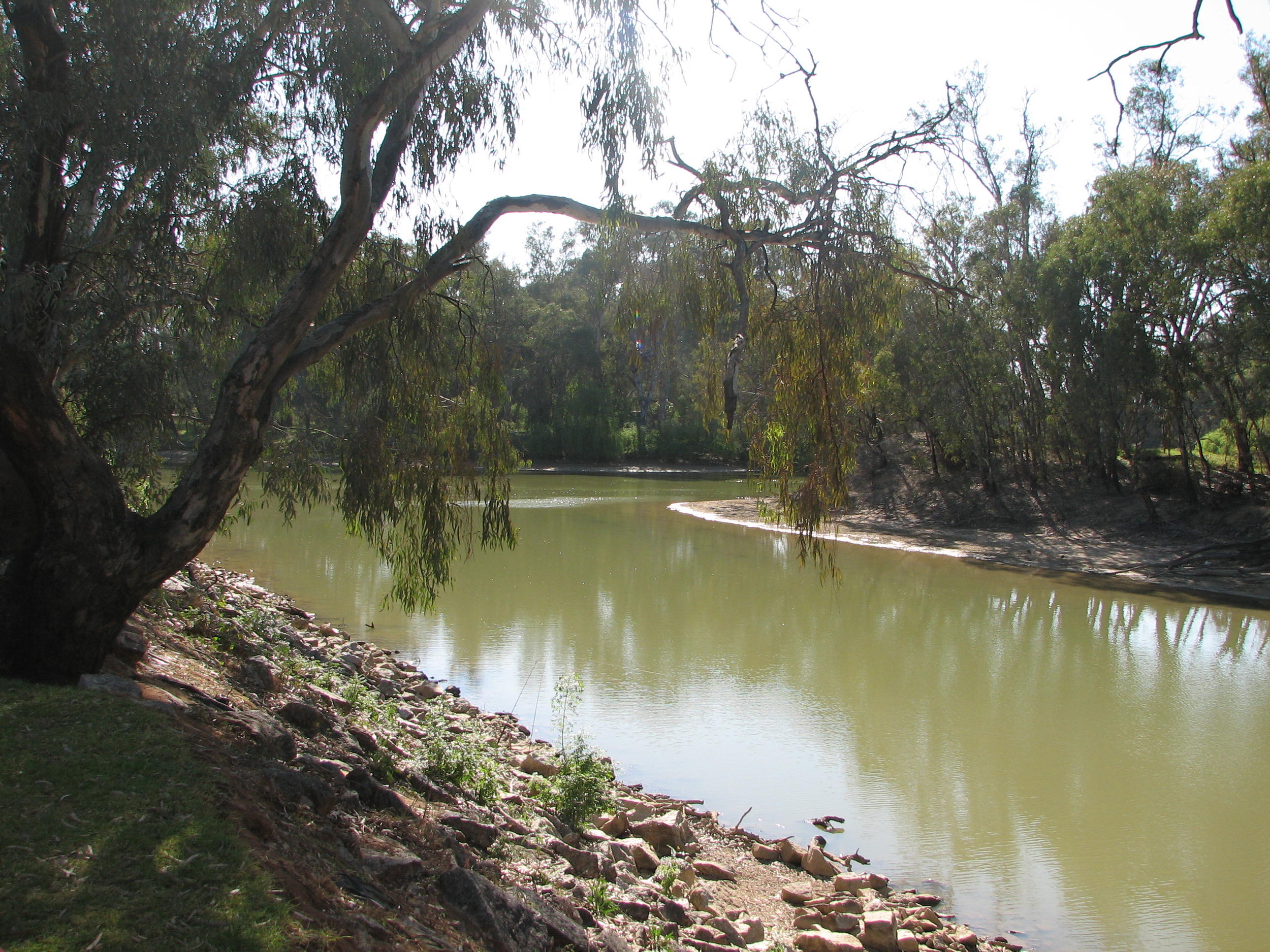 Murray River, Swan Hill, Victoria, September 2007 - Trevor's Travels