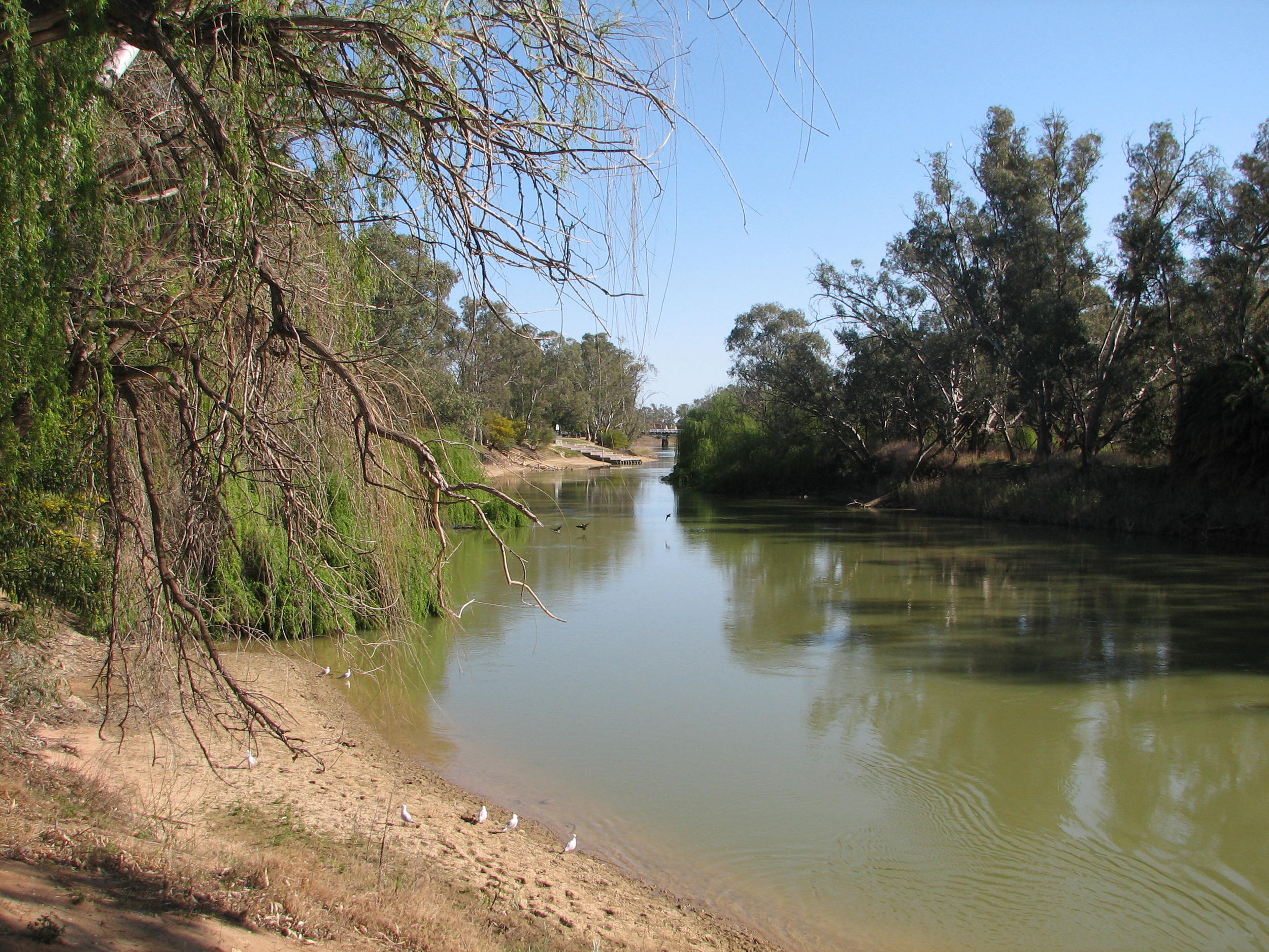 Murray River, Swan Hill, Victoria, September 2007 - Trevor's Travels
