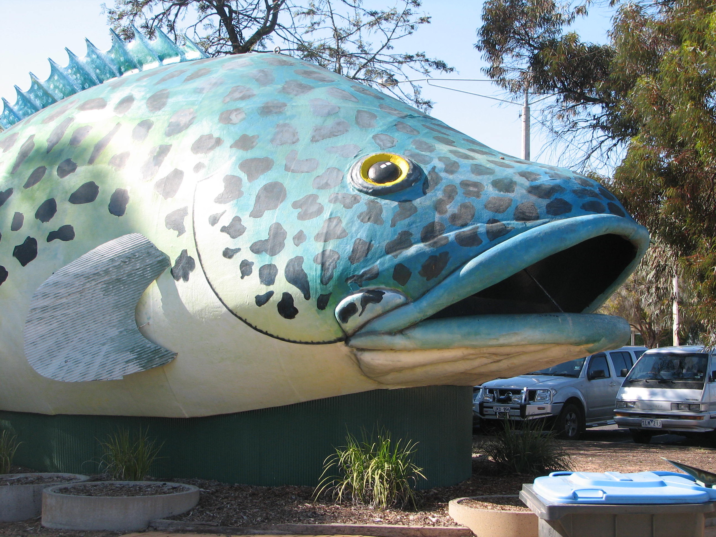 The giant Murray Cod, Swan Hill - Trevor's Travels