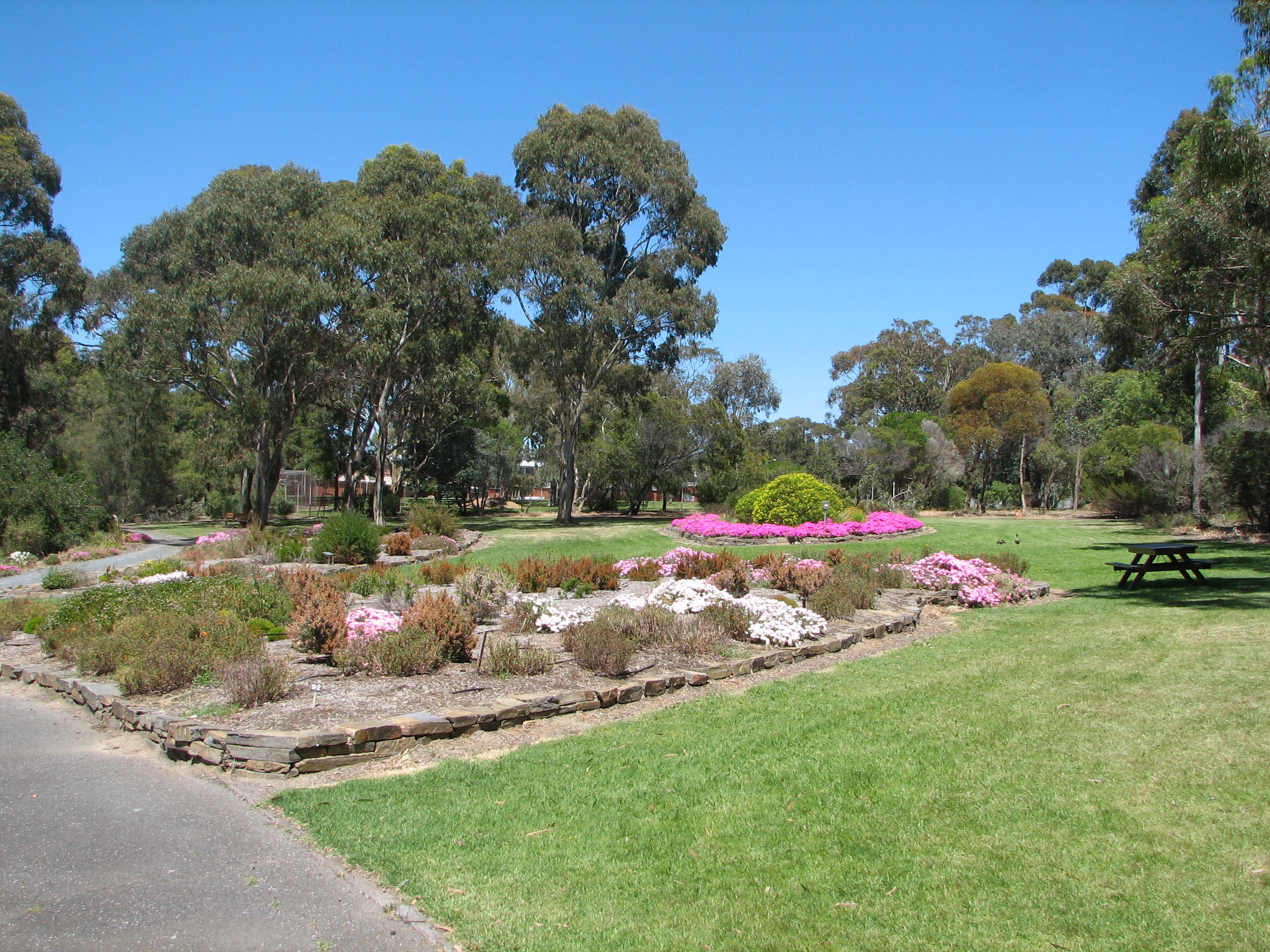 Wittunga Botanic Gardens, Blackwood, South Australia - Trevor's Travels