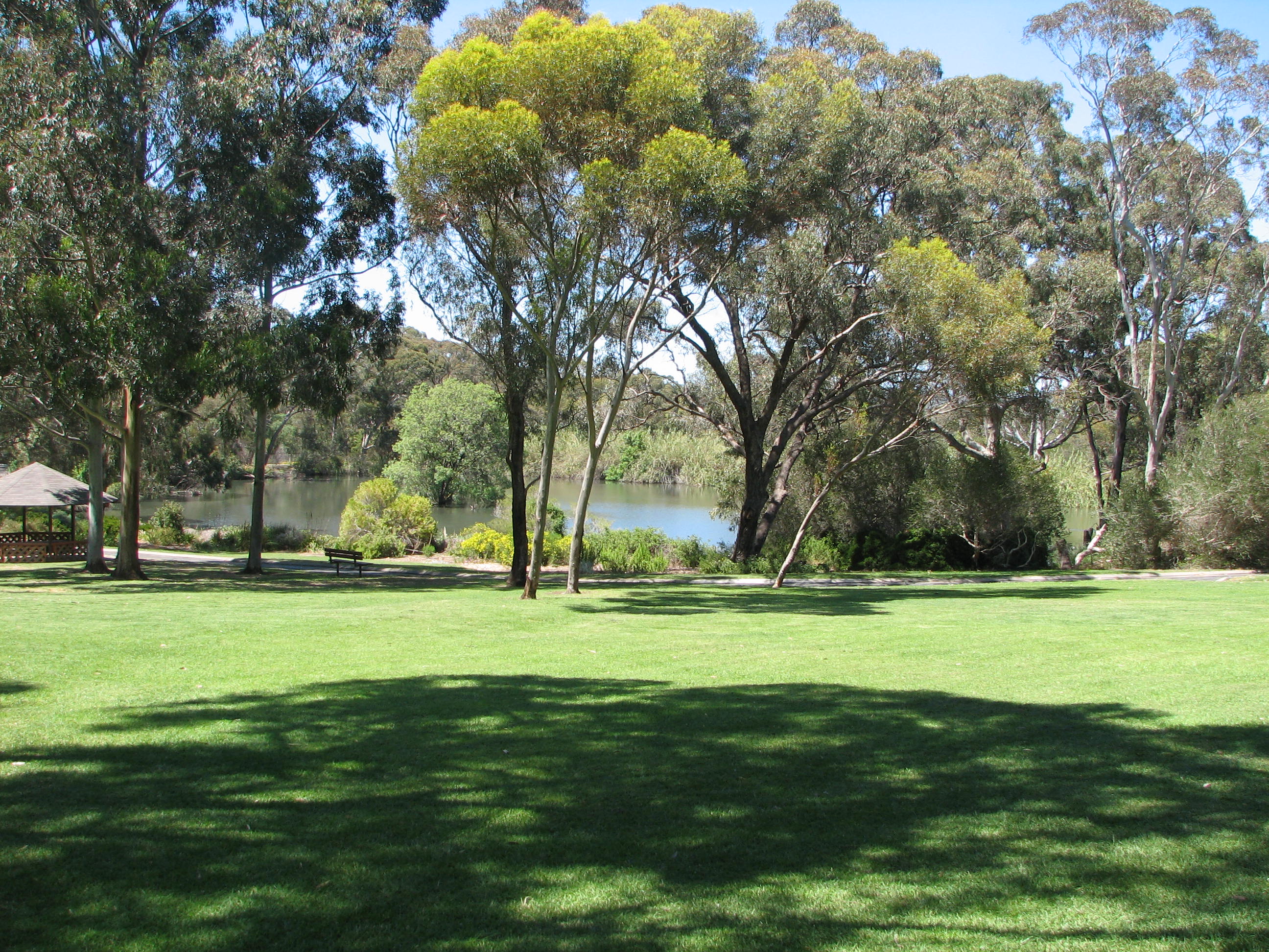 Wittunga Botanic Gardens, Blackwood, South Australia - Trevor's Travels
