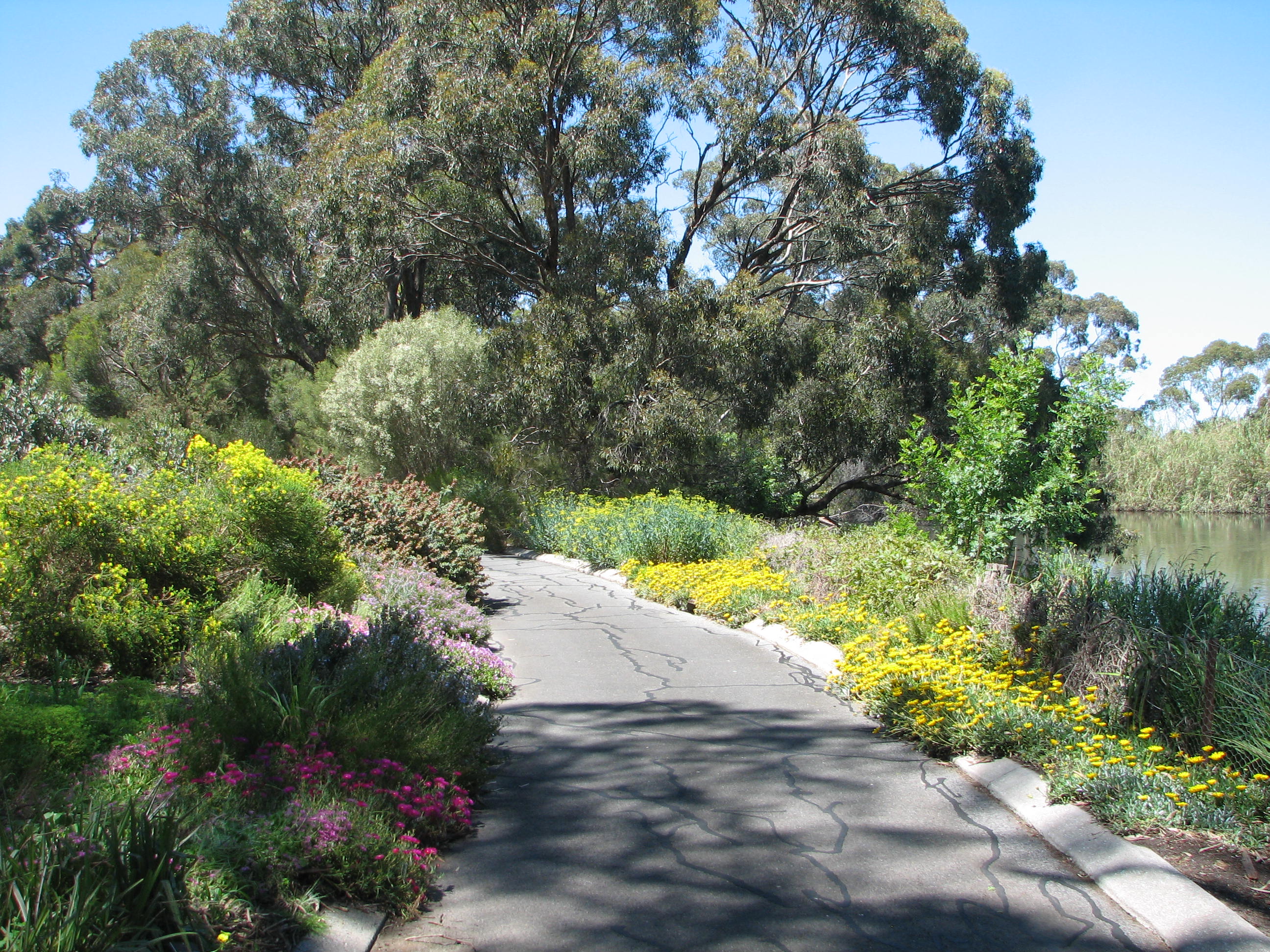 Wittunga Botanic Gardens, Blackwood, South Australia - Trevor's Travels