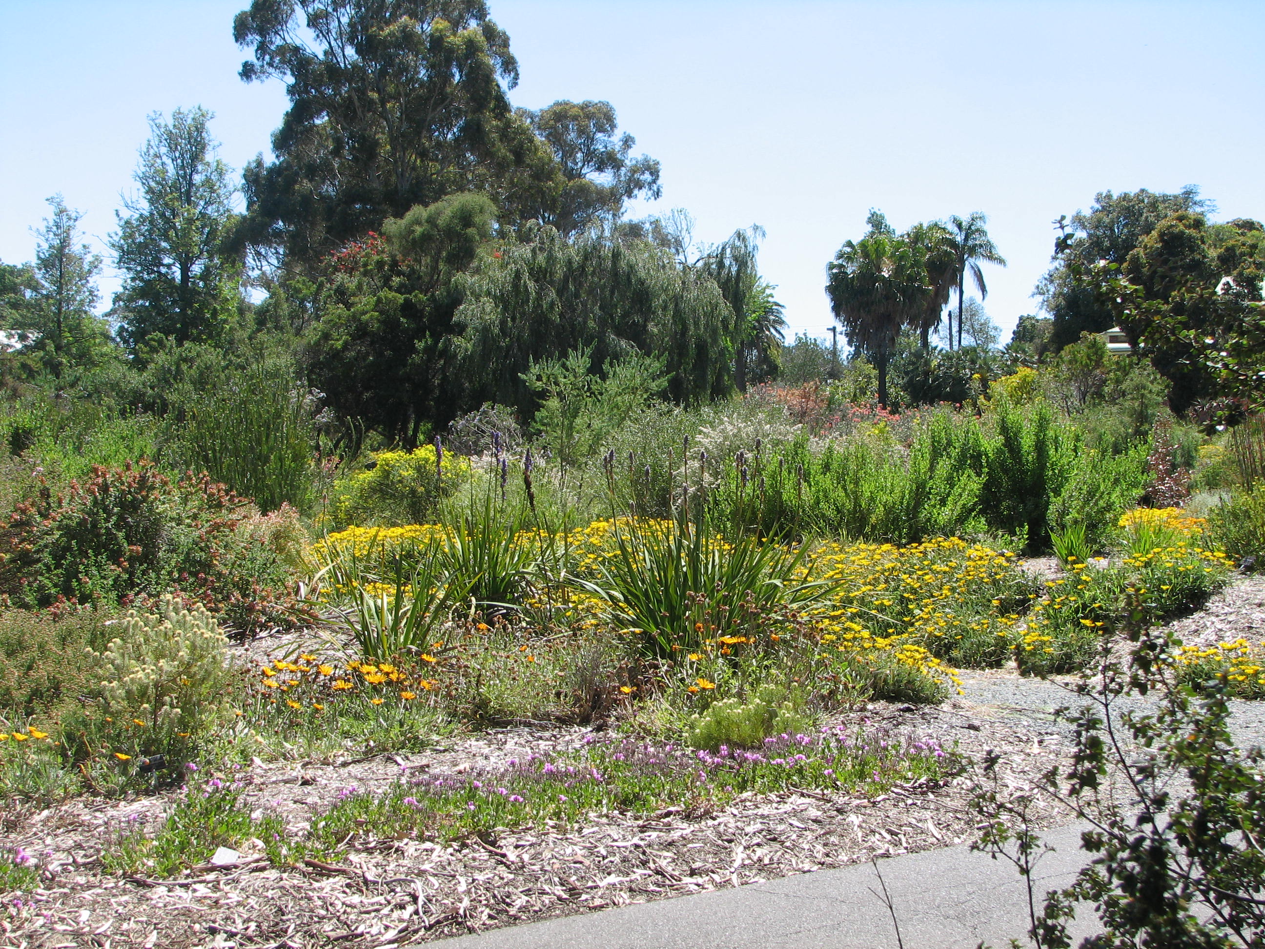 Wittunga Botanic Gardens, Blackwood, South Australia - Trevor's Travels