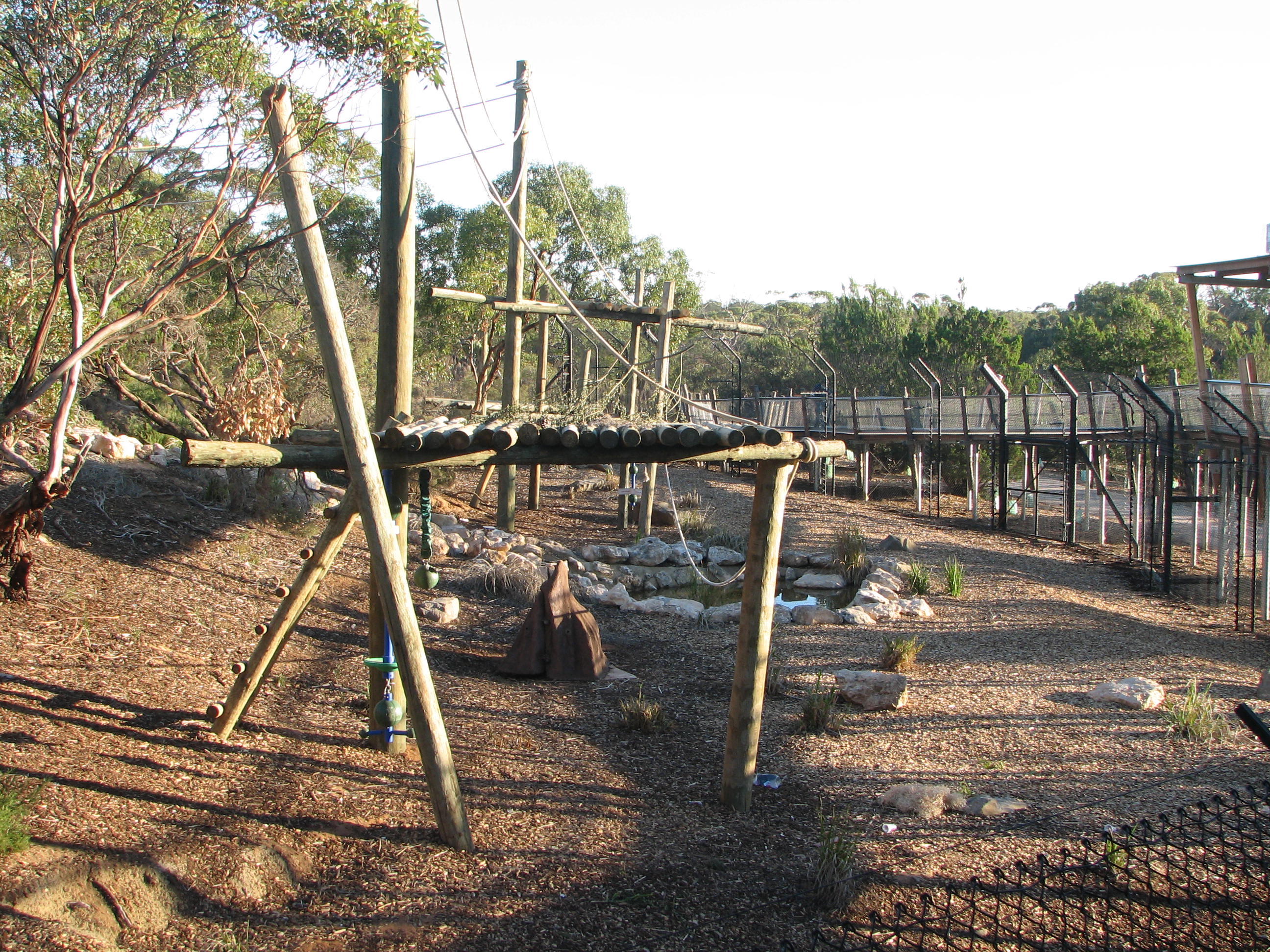 New Chimp enclosure, Monarto Zoo, South Australia - Trevor's Travels