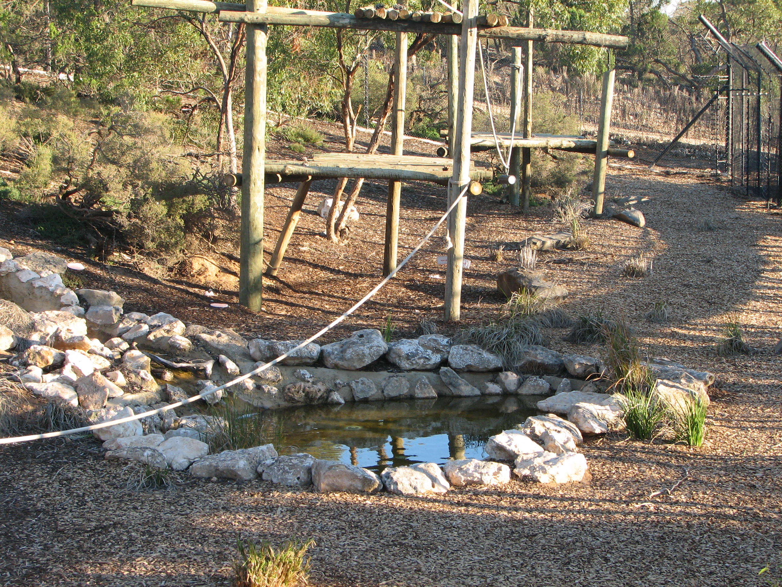New Chimp enclosure, Monarto Zoo, South Australia - Trevor's Travels
