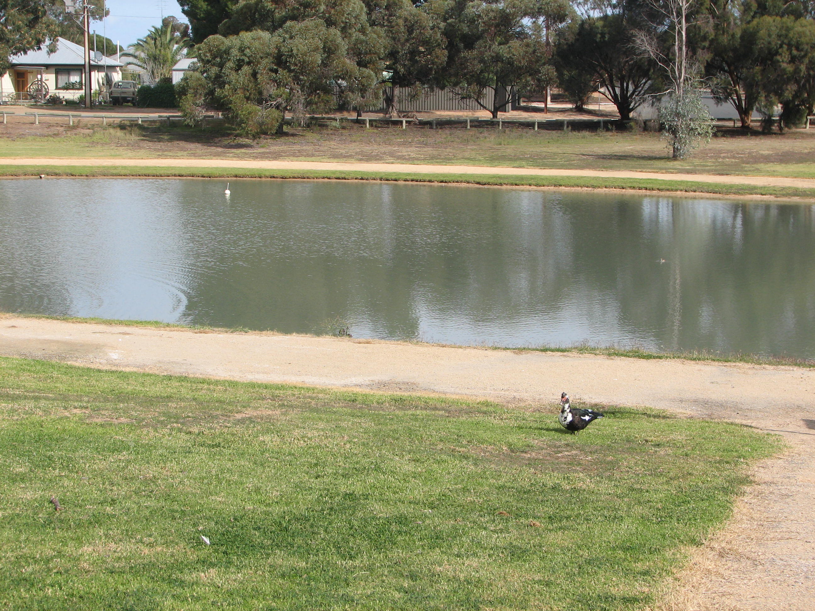 Lake Roberts, Lameroo, South Australia - Trevor's Travels