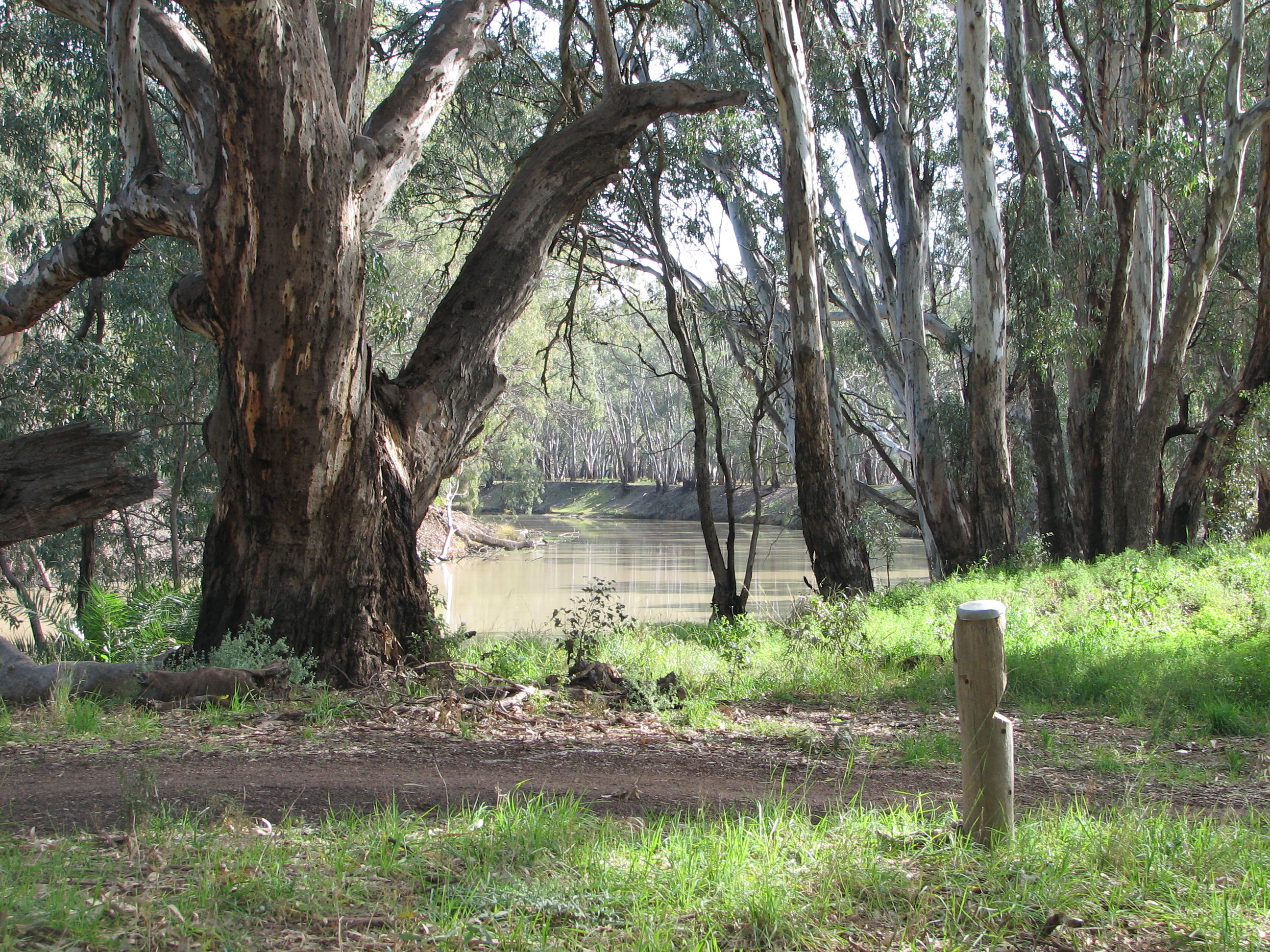On the banks of the Murrumbidgee River, Balranald - Trevor's Travels
