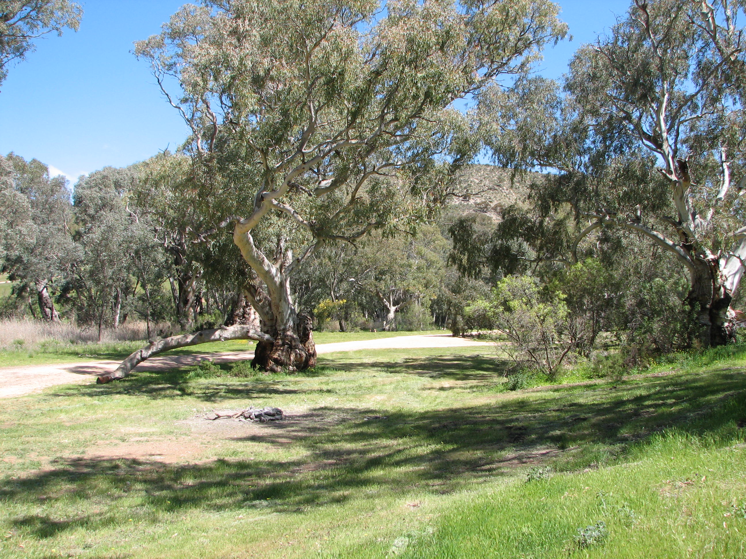 Burra Gorge, mid north of South Australia - Trevor's Travels