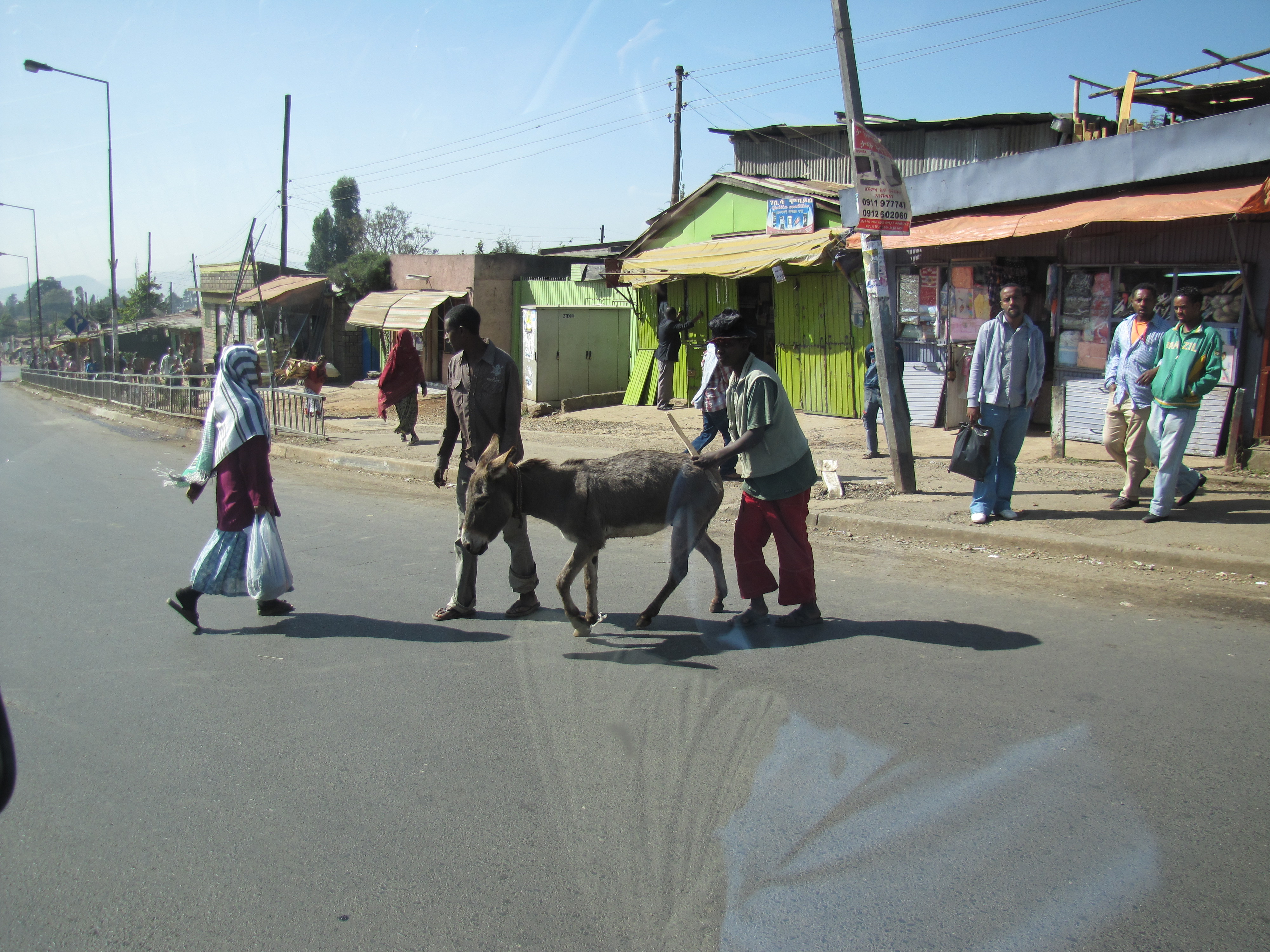 Donkey crossing the street in Addis Ababa - Trevor's Travels