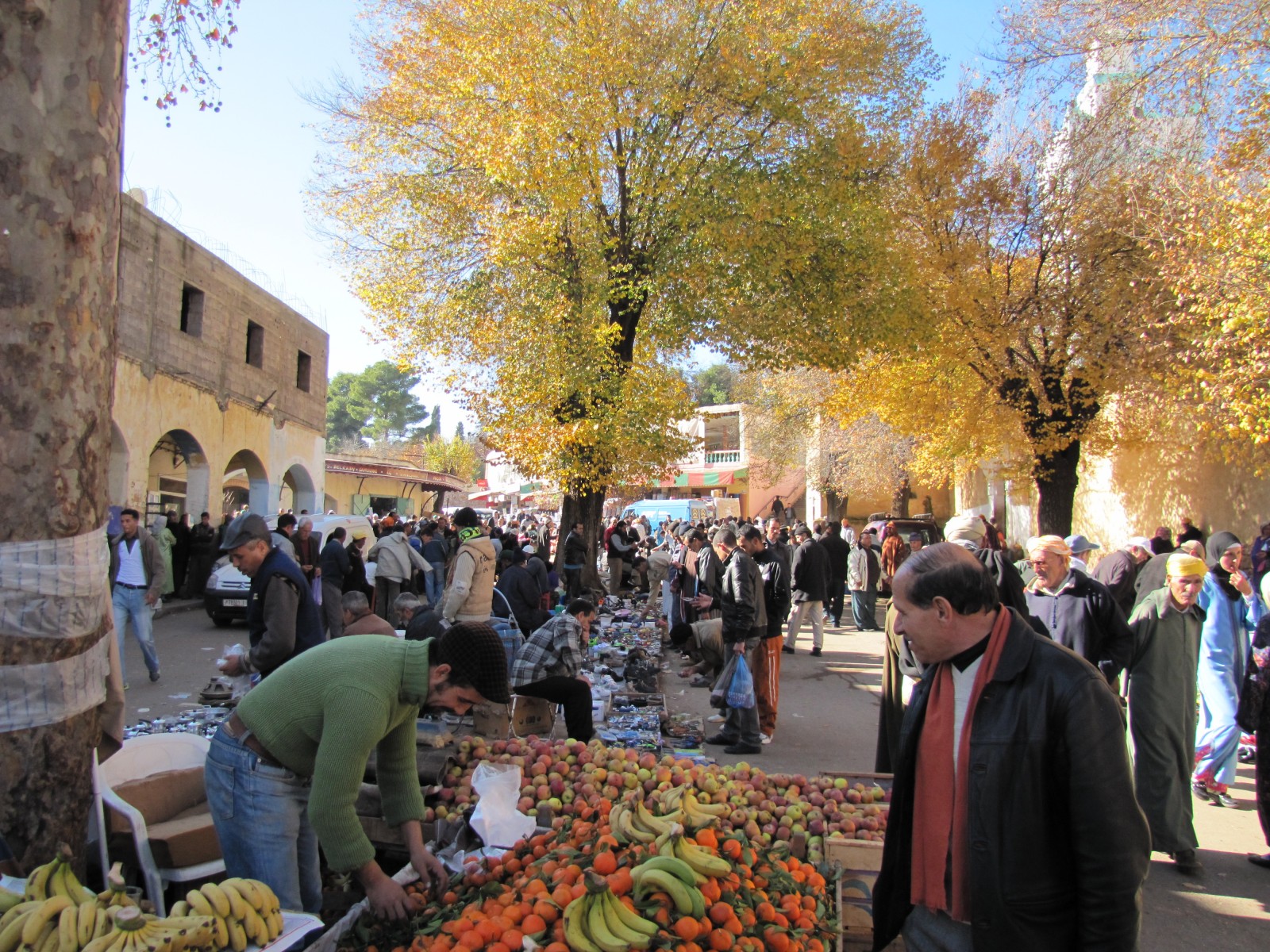 Market day in the village of Sefrou, Morocco - Trevor's Travels