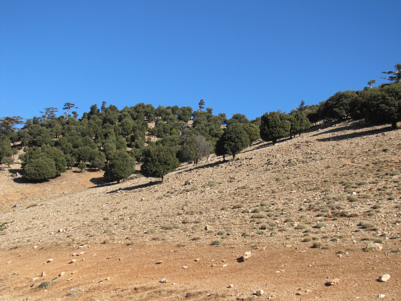 Col Du Zad, Atlas Mountains - Trevor's Travels