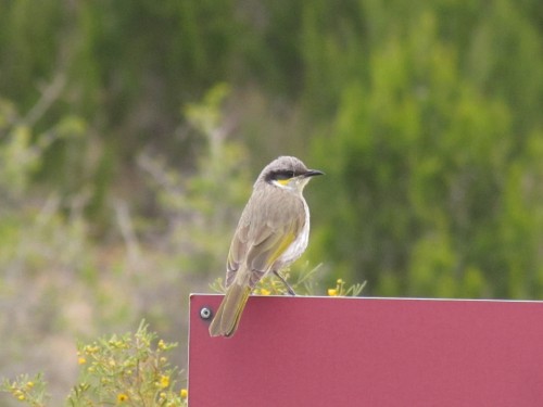Greg Duggan Nature Reserve - Trevor's Travels