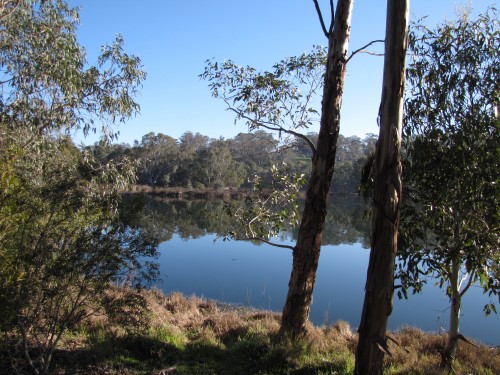 Laratinga Wetlands Mt Barker South Australia - Trevor's Travels