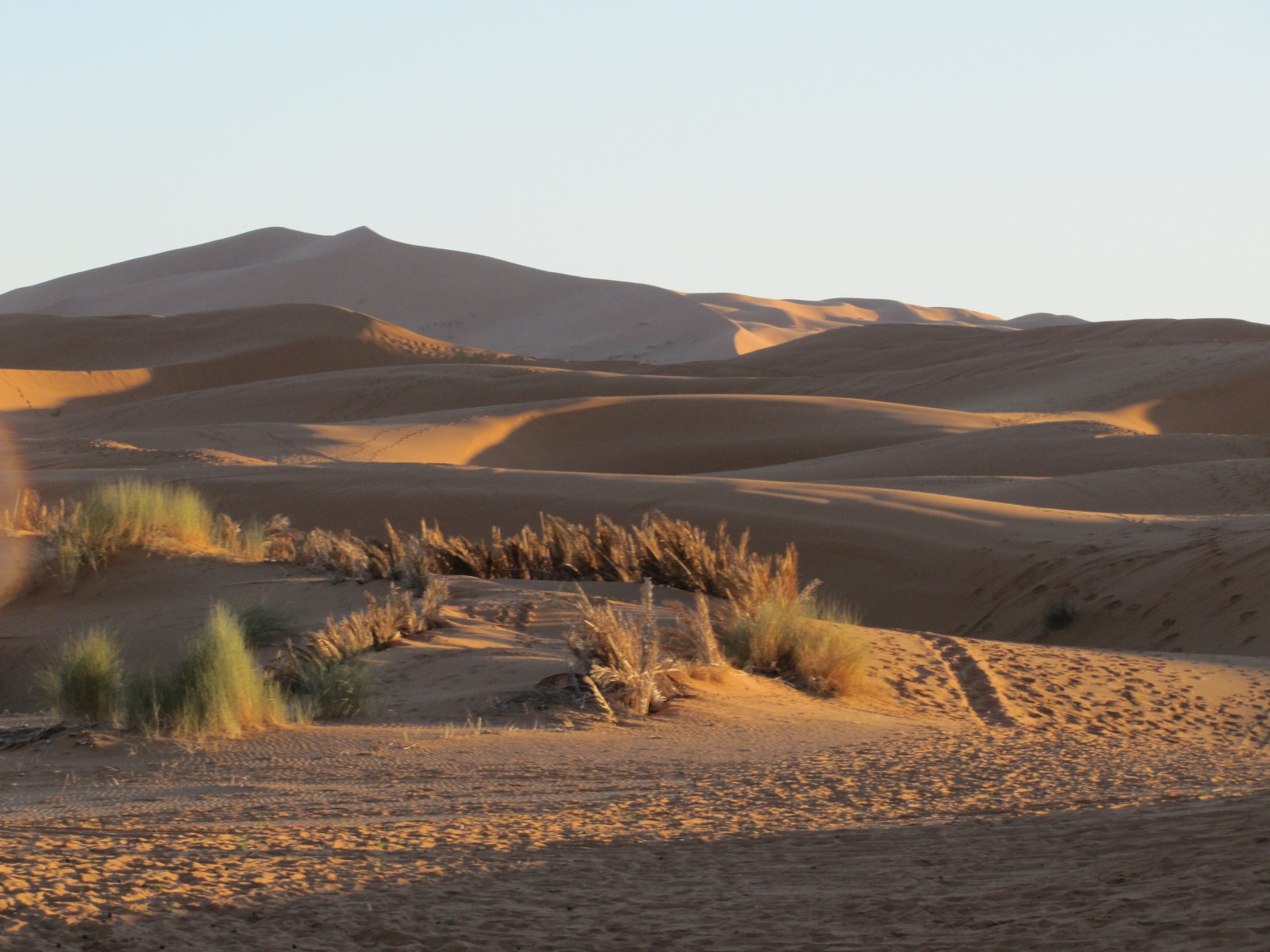 More scenes of the Sahara - Trevor's Travels